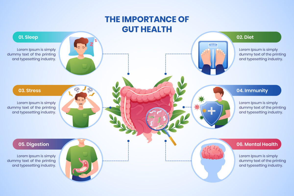 Gut Health Specialist in Salt Lake City | Dr. Bob Seiler
